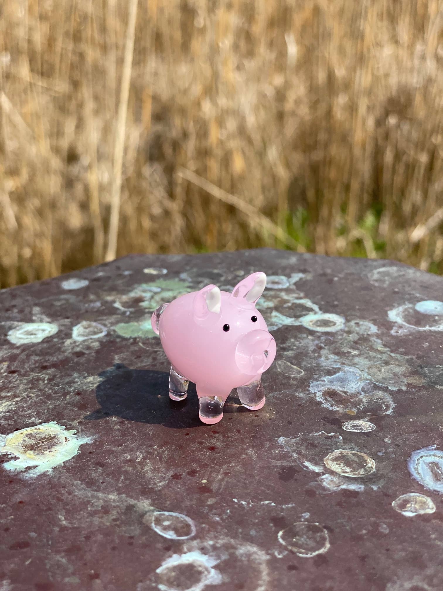 Trinkets – The Wayfinder Society