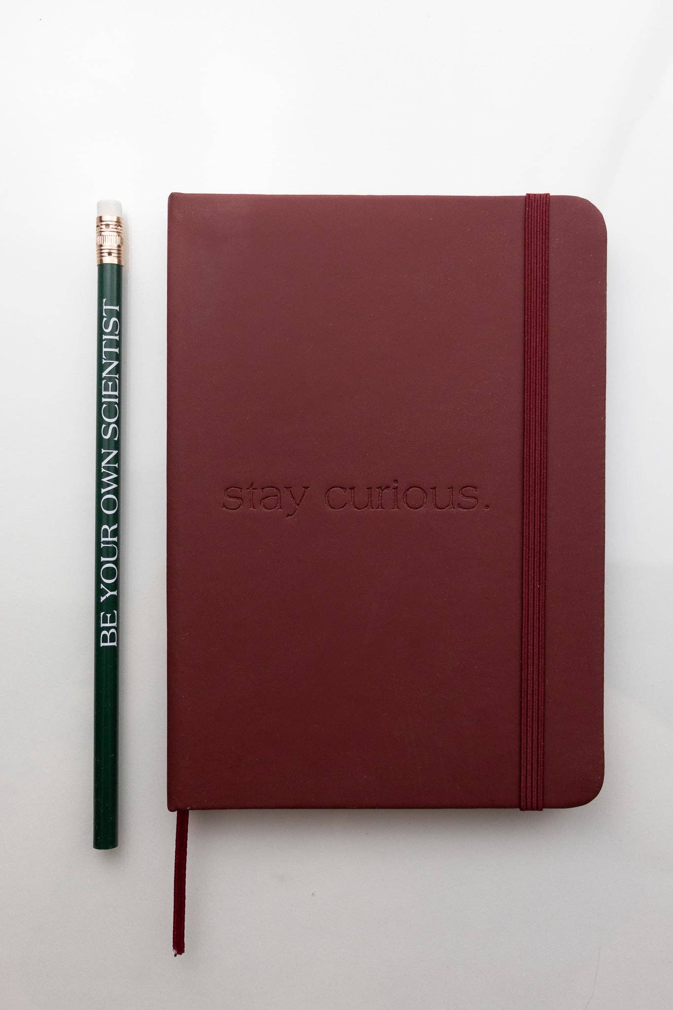 Curiosity Journal – The Wayfinder Society